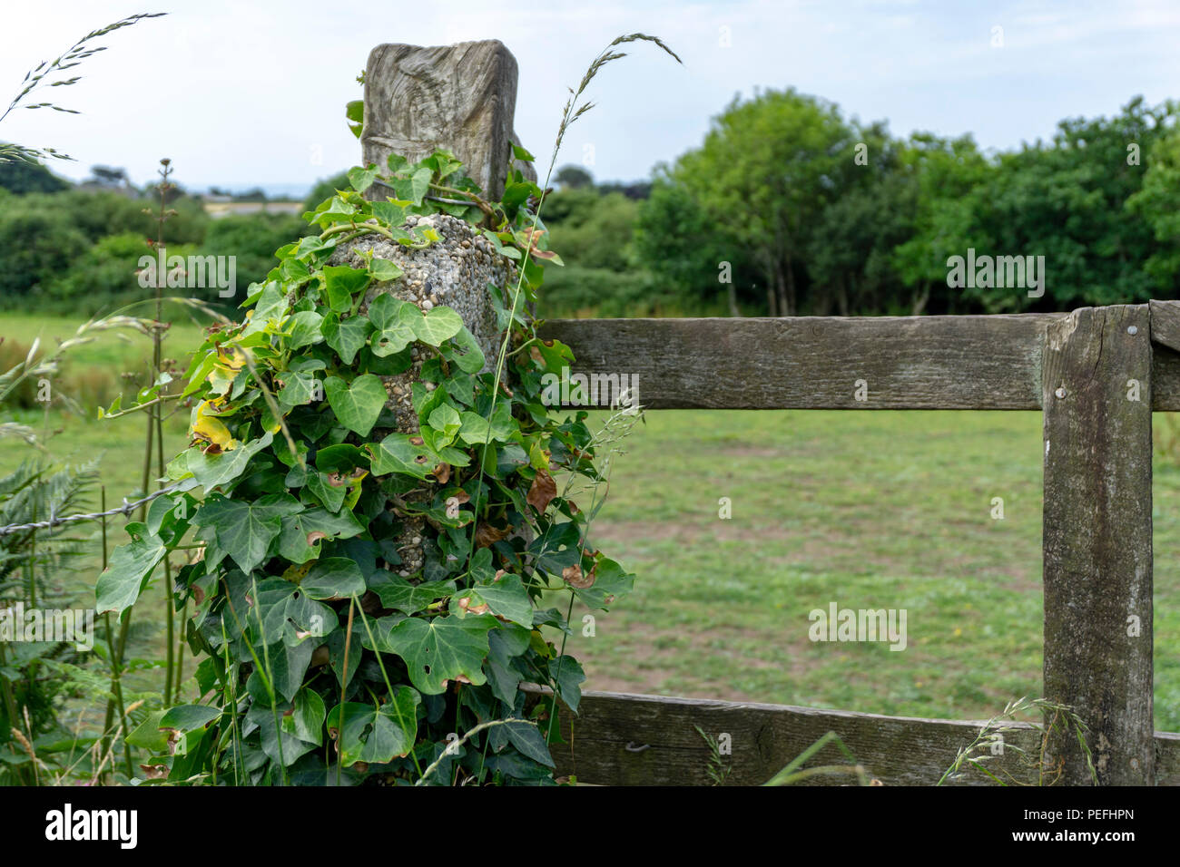Gates and gateposts in rural Cornwall, UK Stock Photo - Alamy