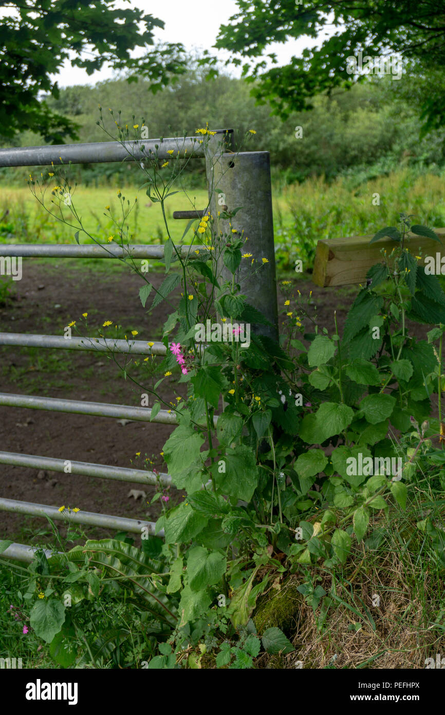 Gateway gate post gates hi-res stock photography and images - Alamy