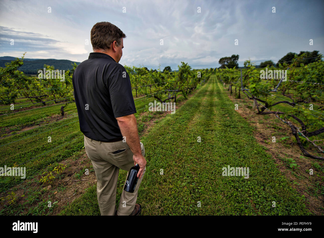 400th year of wine making hi-res stock photography and images - Alamy