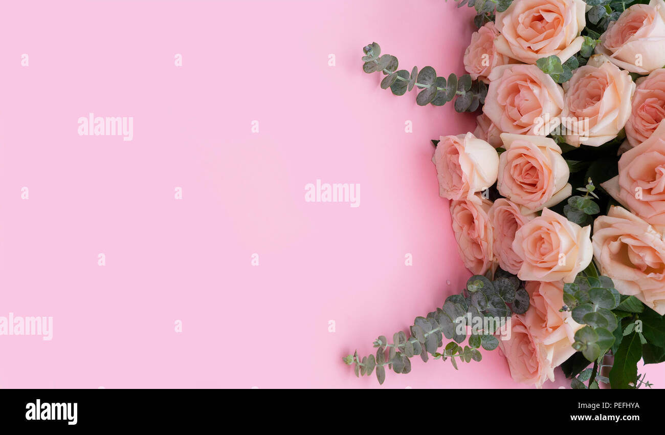 fresh rose flowers Stock Photo - Alamy