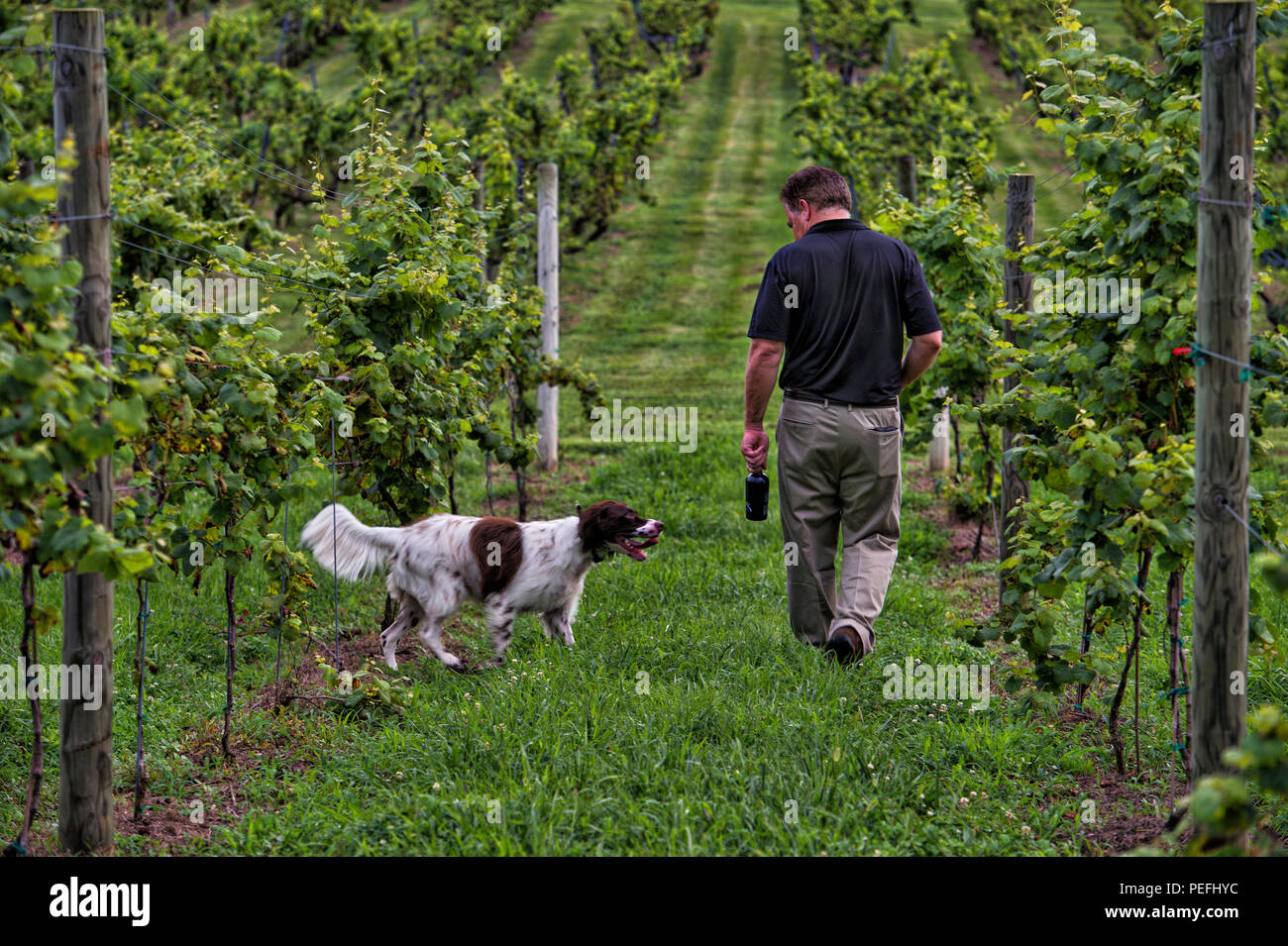 Philip strother hi-res stock photography and images - Alamy