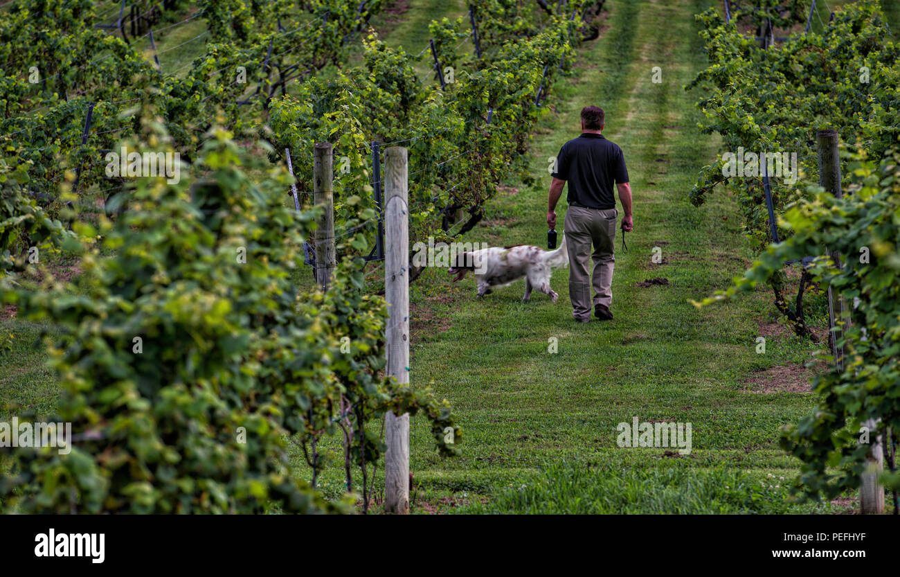 400th year of wine making hi-res stock photography and images - Alamy