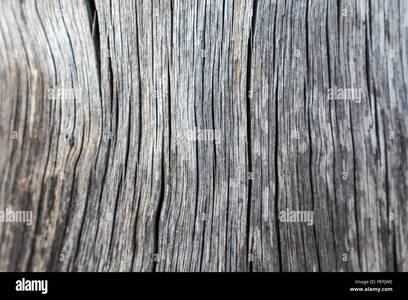 Timber texture hi-res stock photography and images - Alamy