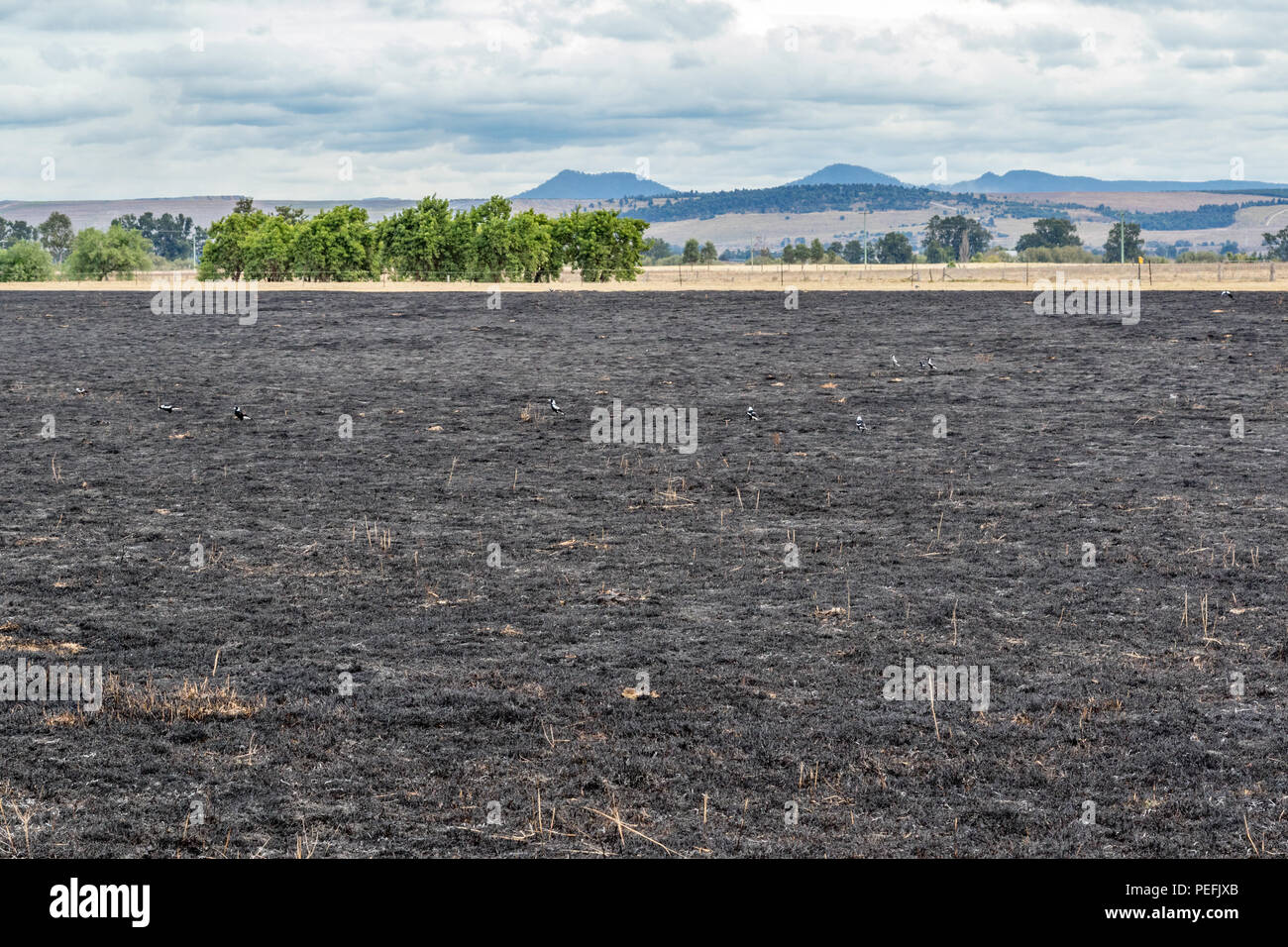 Farmland controlled hi-res stock photography and images - Alamy