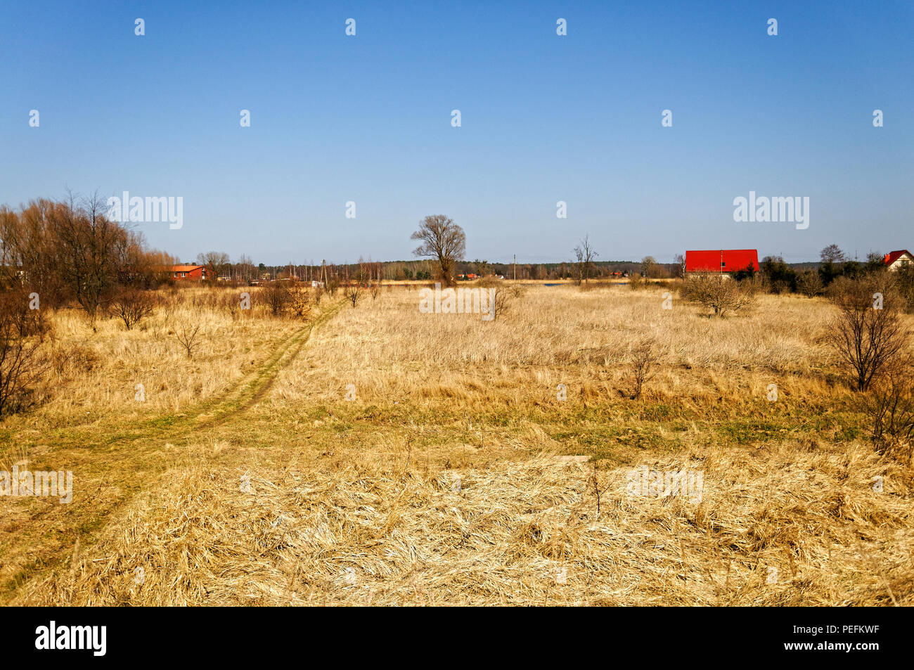 Grass burned by the sun hi-res stock photography and images - Alamy