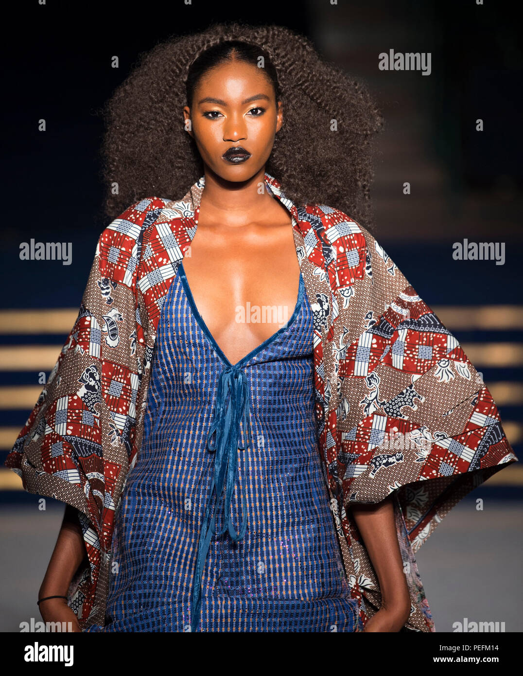 Africa Fashion Show 2018. Model images taken from press pit by ...