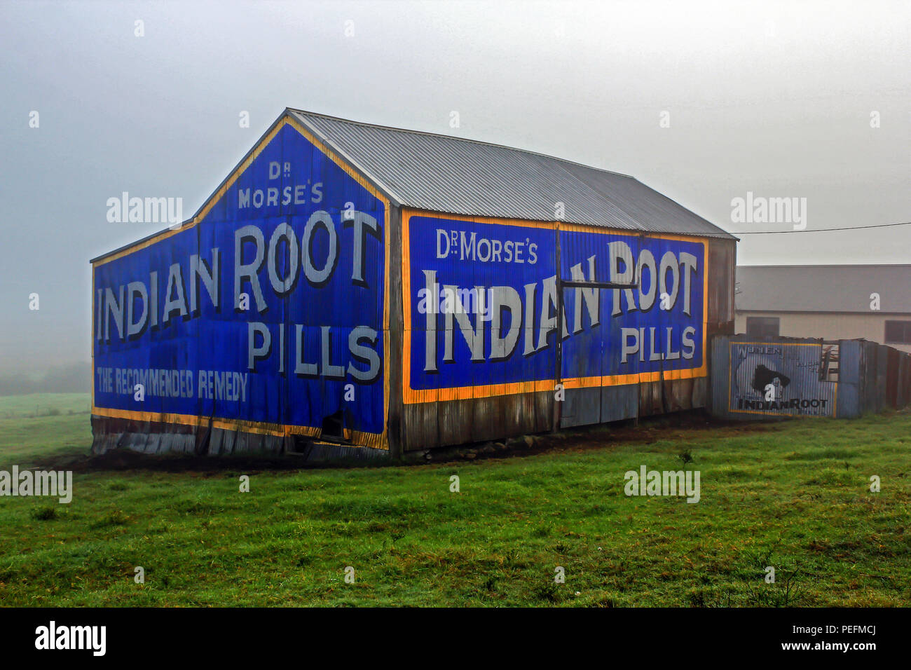 Indian root hi-res stock photography and images - Alamy