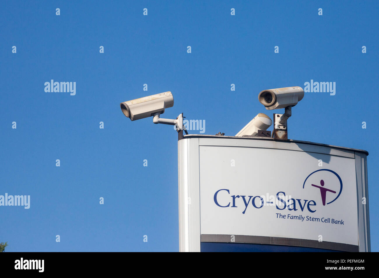 Specialized cell hi-res stock photography and images - Alamy