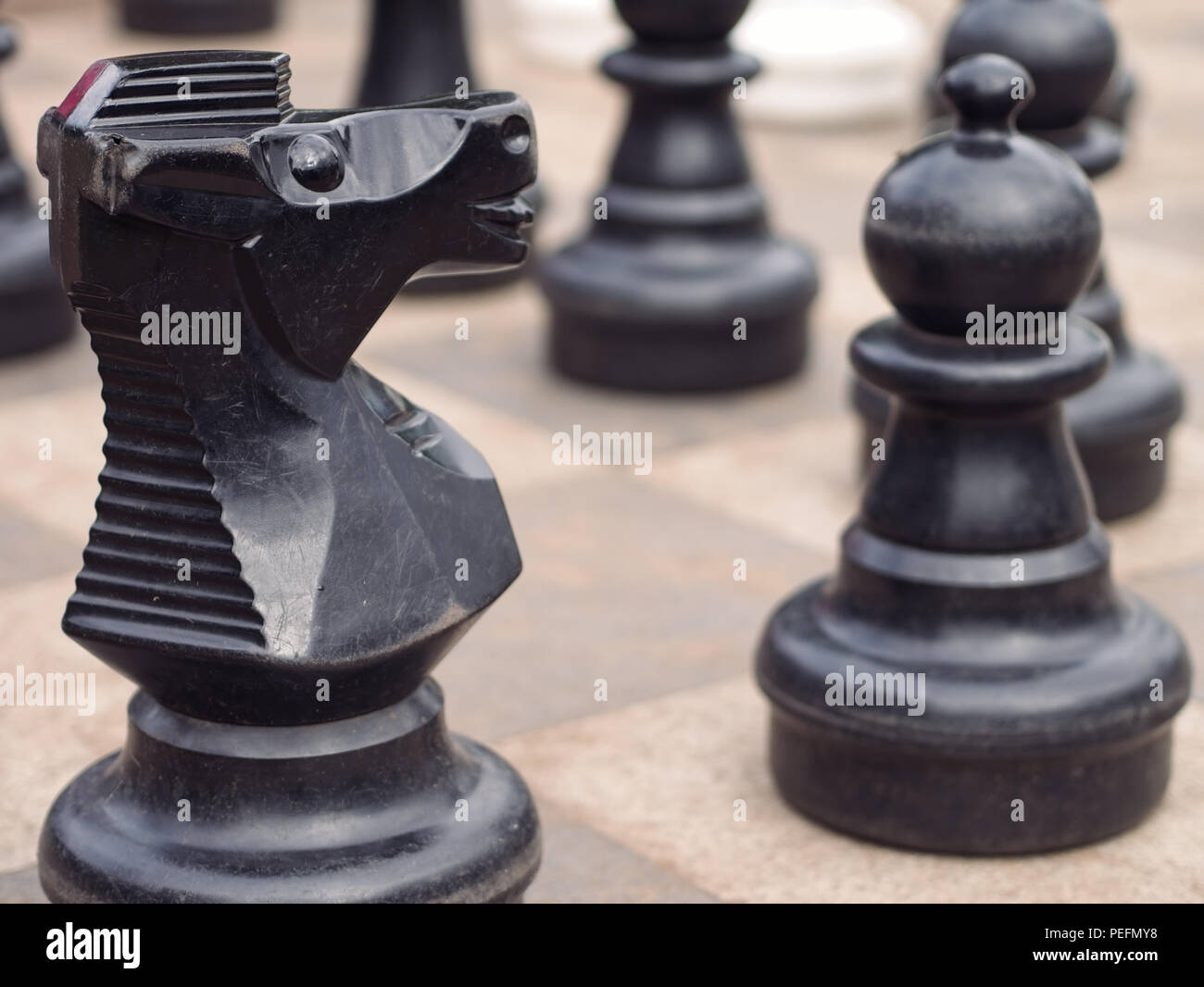 Close-up of large chess pieces at a garden. Focused on the black knight ...
