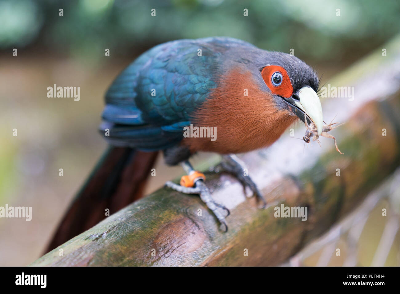Gotcha hi-res stock photography and images - Alamy