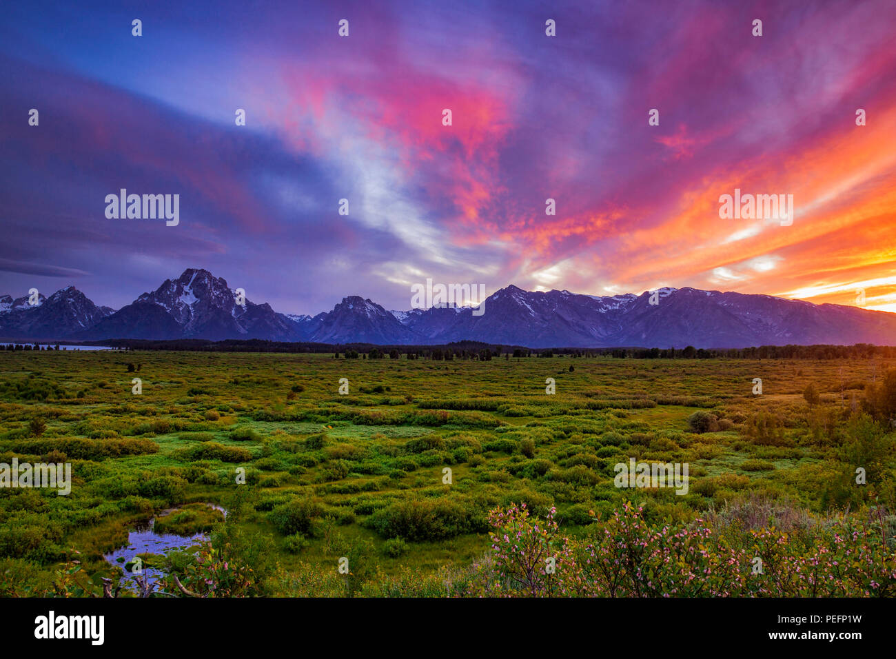 Jackson lake lodge hi-res stock photography and images - Alamy