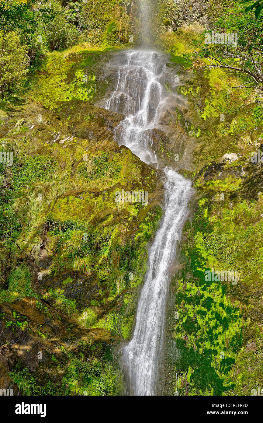 Five mile river hi-res stock photography and images - Alamy