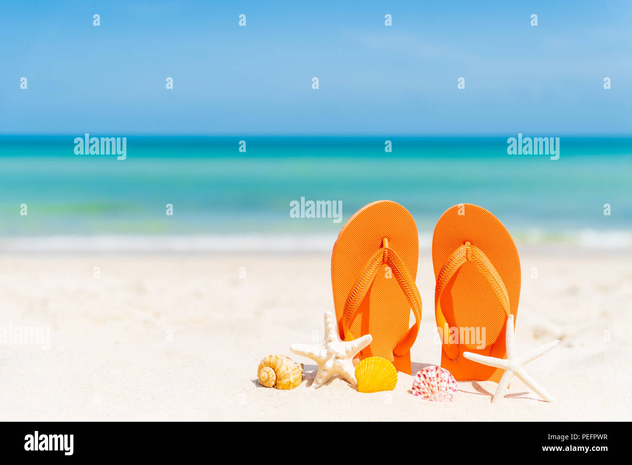 Beach accessories including flip flop, starfish and sea shell on sandy ...