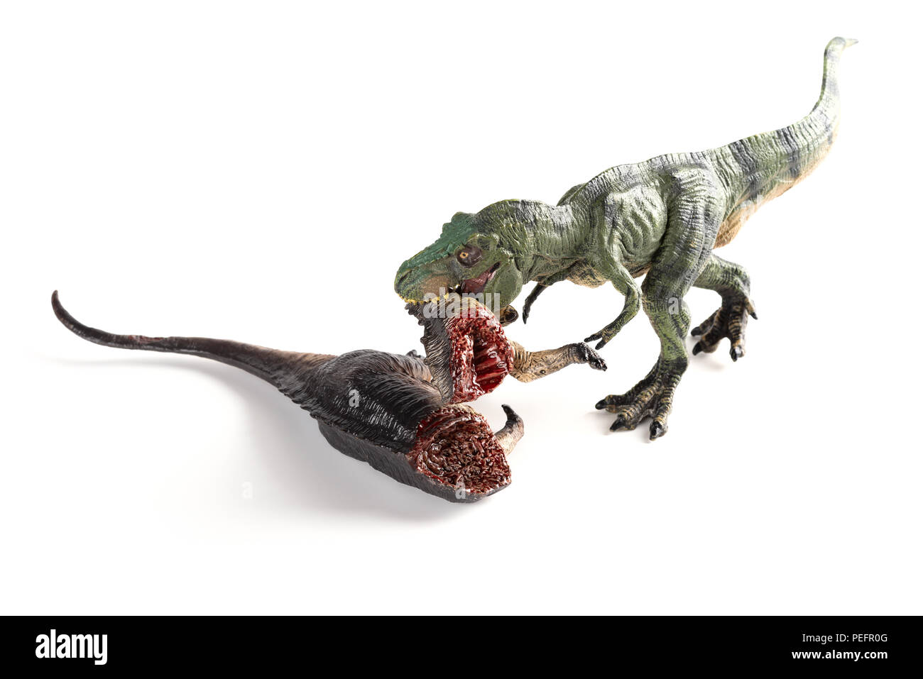 top view tyrannosaurus biting a dinosaur body on white background Stock ...