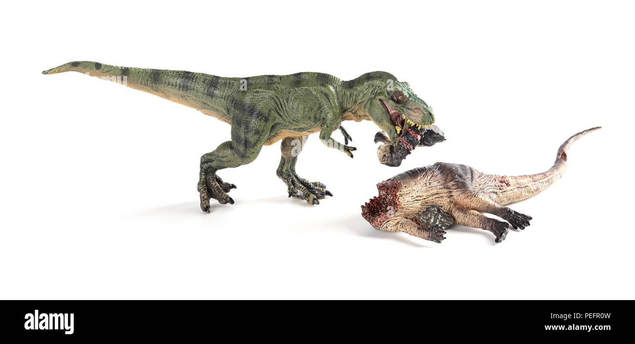 tyrannosaurus biting a dinosaur body on white background Stock Photo ...