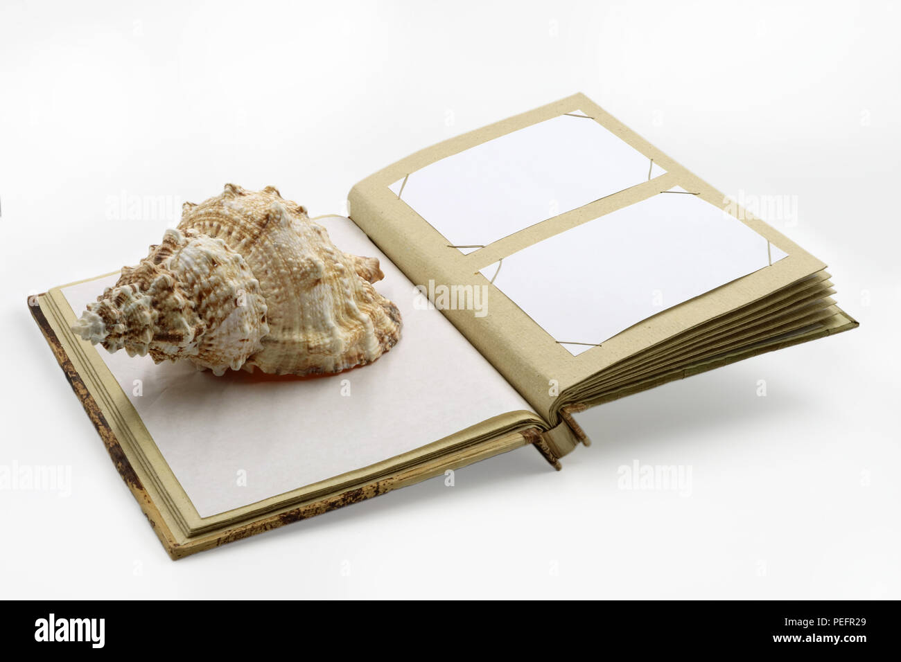 open diary or photo album book on white background Stock Photo - Alamy