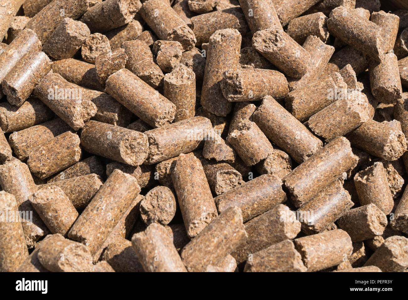 Feed my sheep hi-res stock photography and images - Alamy