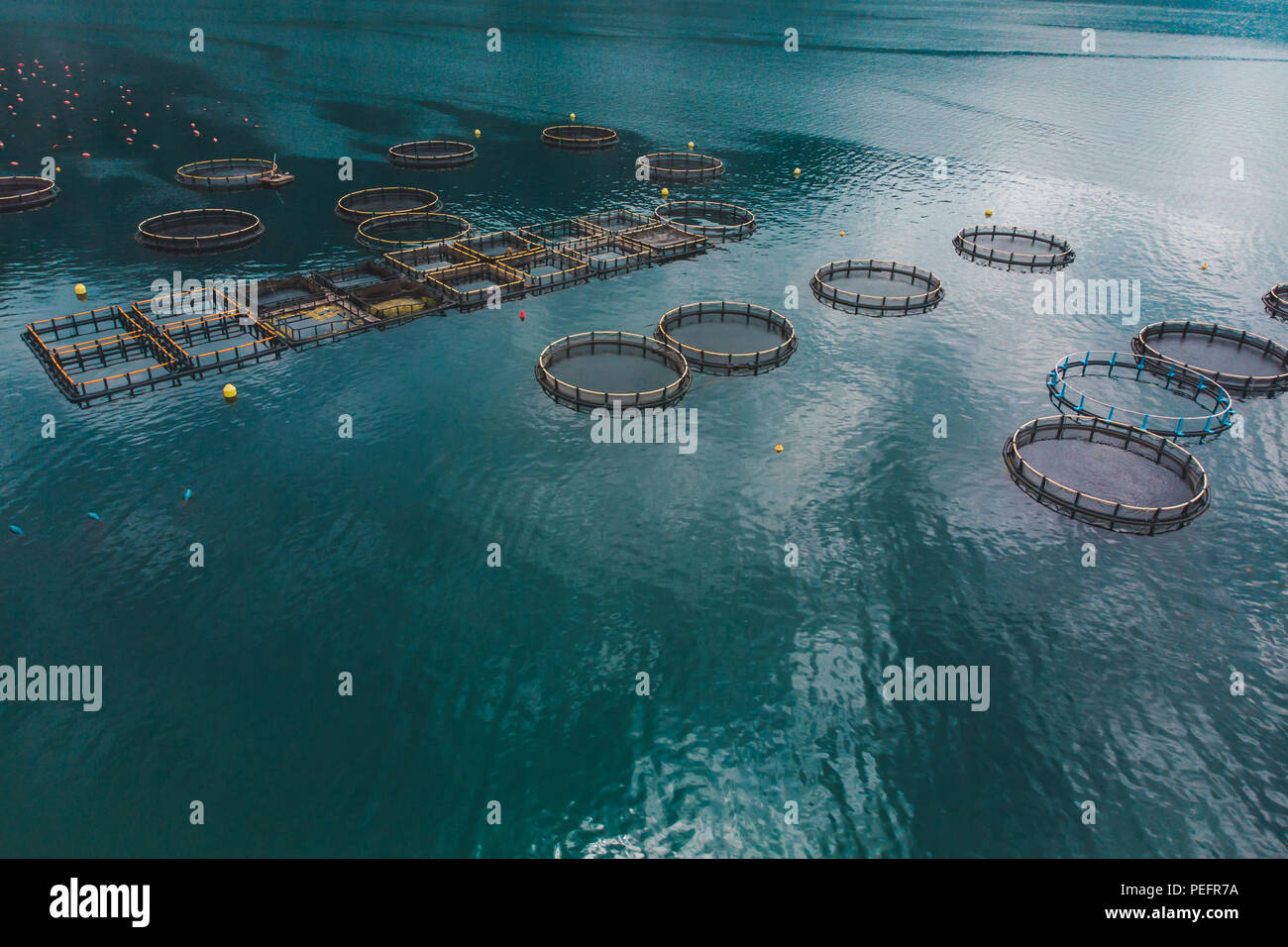 aerial view of fish farm in sea water. summer time. sea food Stock ...