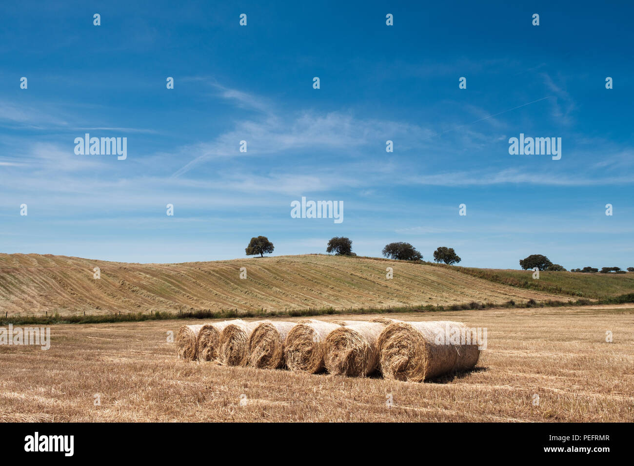 Farmland countryside landscape. Field of harvest wheat and straw bale ...