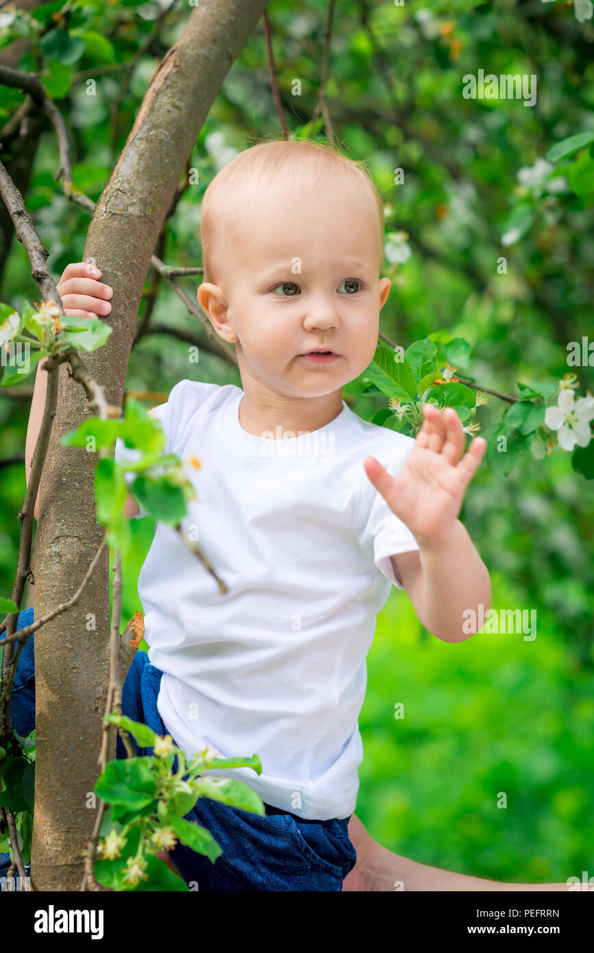 boy in a spring park near a tree Stock Photo - Alamy