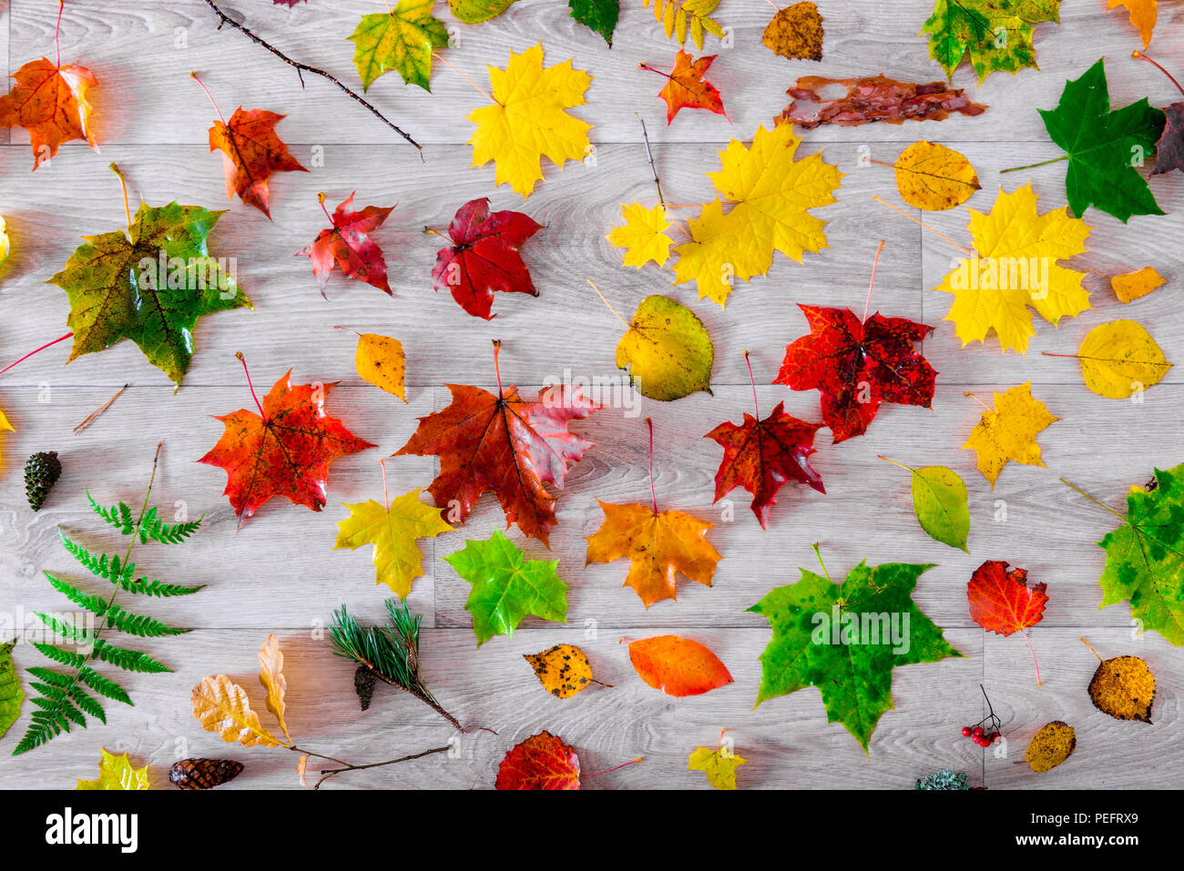 Natural objects hi-res stock photography and images - Alamy