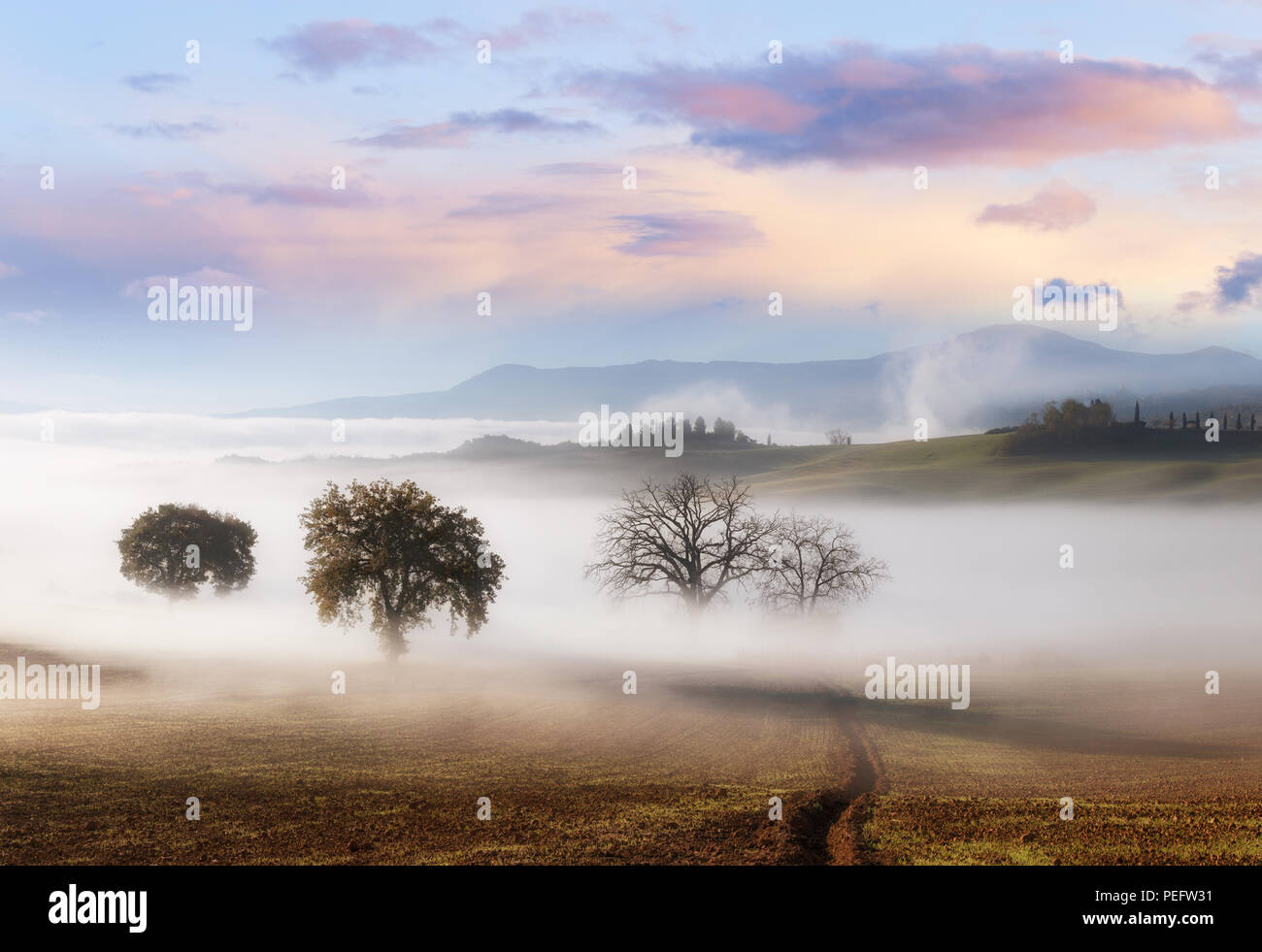 Tuscanian landscape hi-res stock photography and images - Alamy