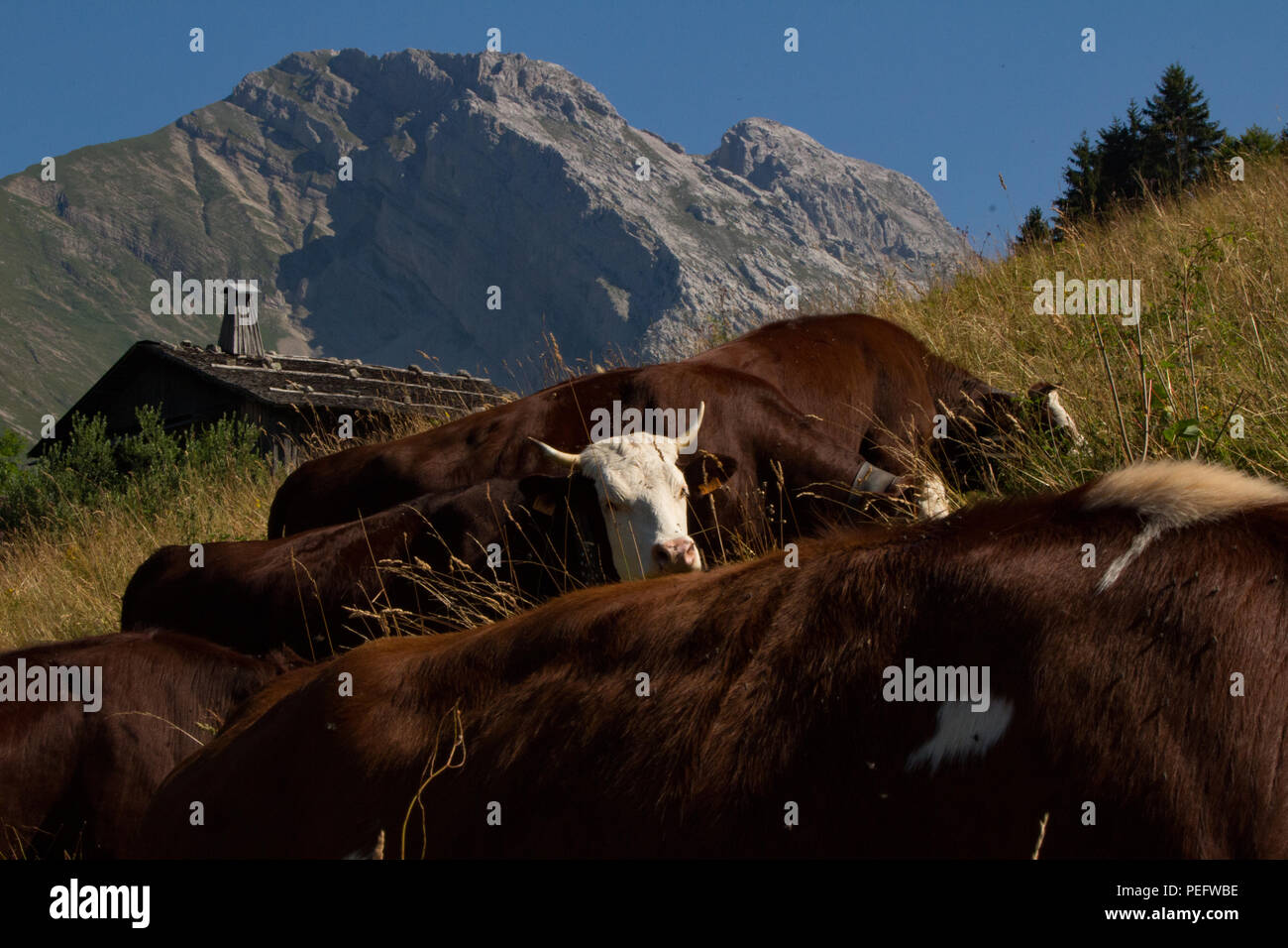 Aravis mountains hi-res stock photography and images - Alamy