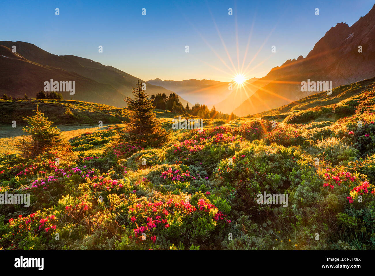 Chalberboden hi-res stock photography and images - Alamy