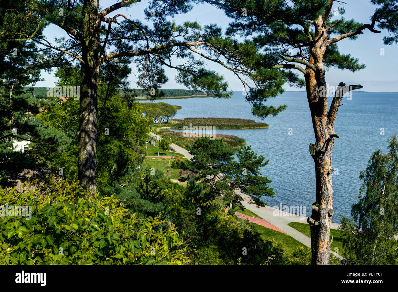 Summer landscape with white sand dunes, bushes and sky. Curonian Spit ...