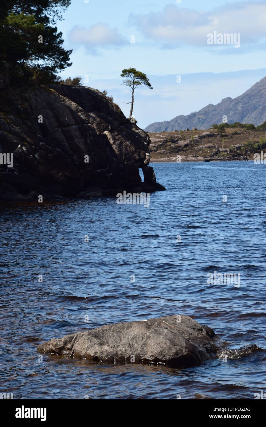 Lone tree on Loch Maree in Wester Ross Highlands Scotland Stock Photo ...