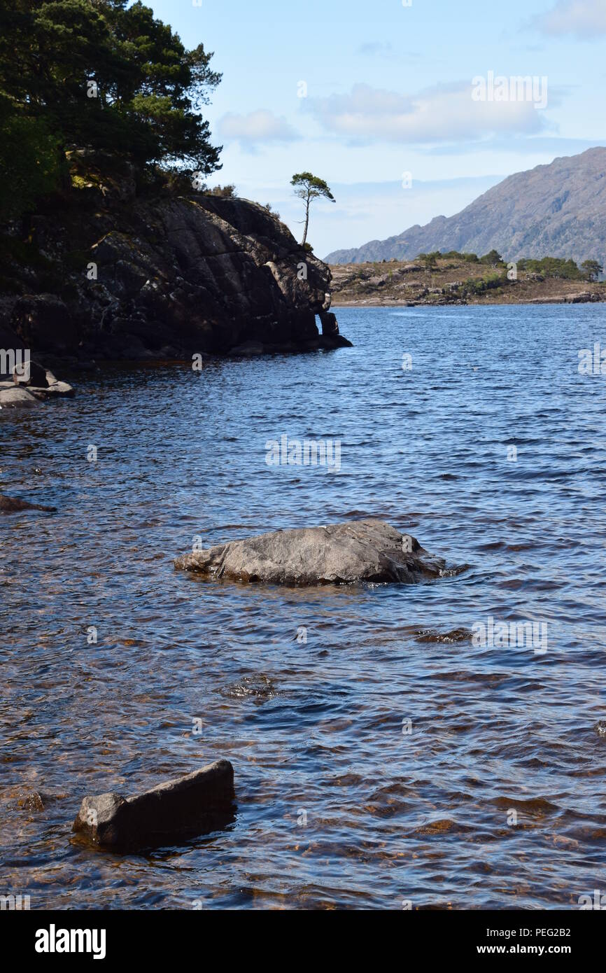 Lone tree on Loch Maree in Wester Ross Highlands Scotland Stock Photo ...