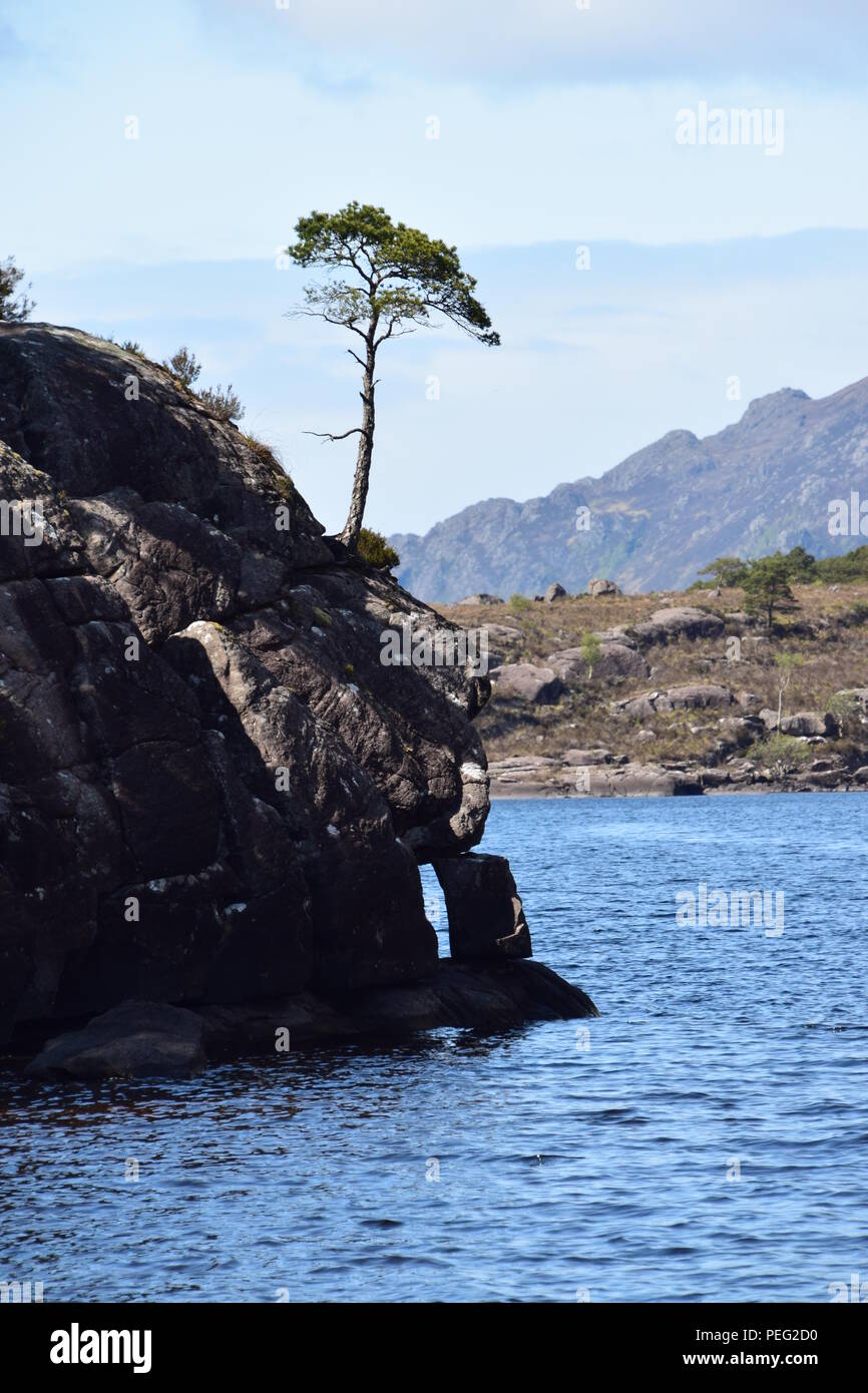 Lone tree on Loch Maree in Wester Ross Highlands Scotland Stock Photo ...