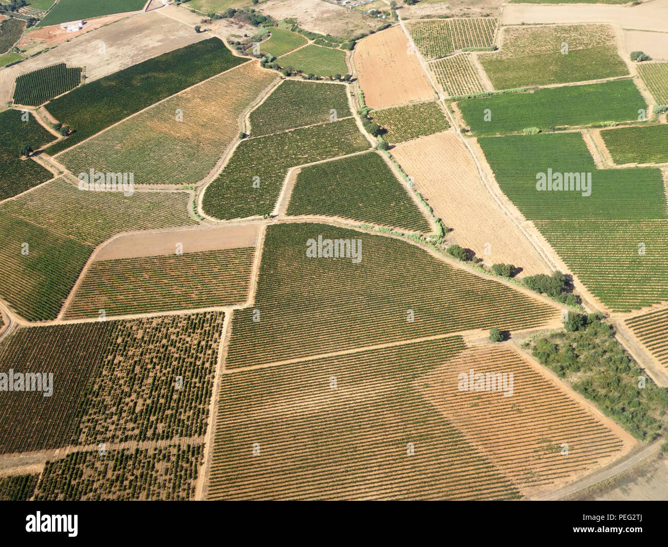 Aerial photograph of the vineyards around the Cers area France ...