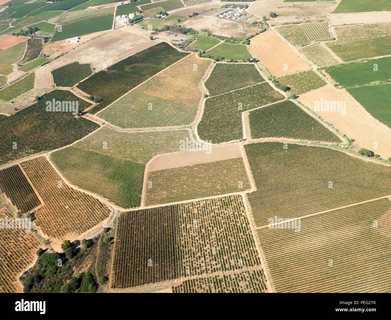 Aerial photograph of the vineyards around the Cers area France ...