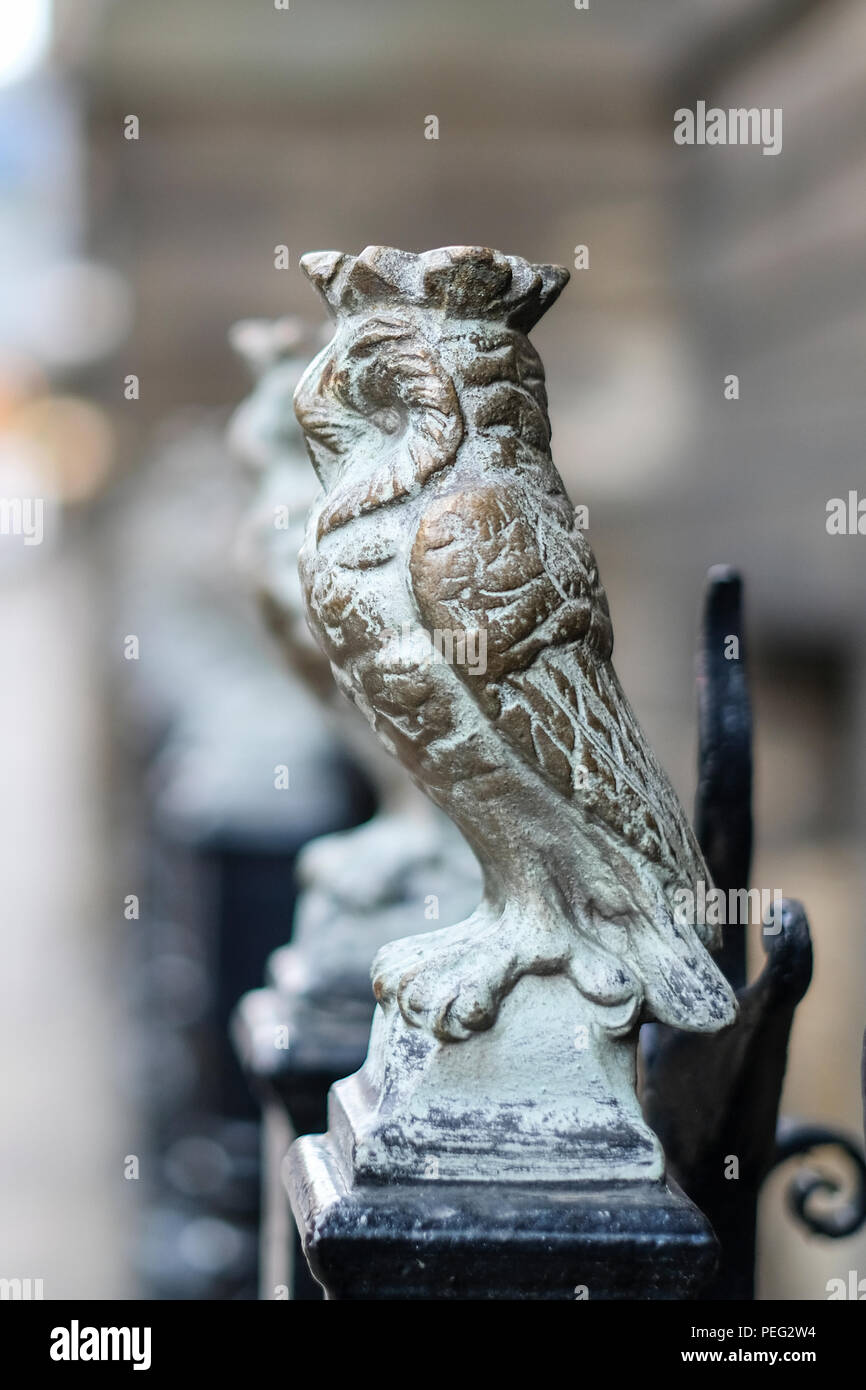 Golden owls of leeds hi-res stock photography and images - Alamy