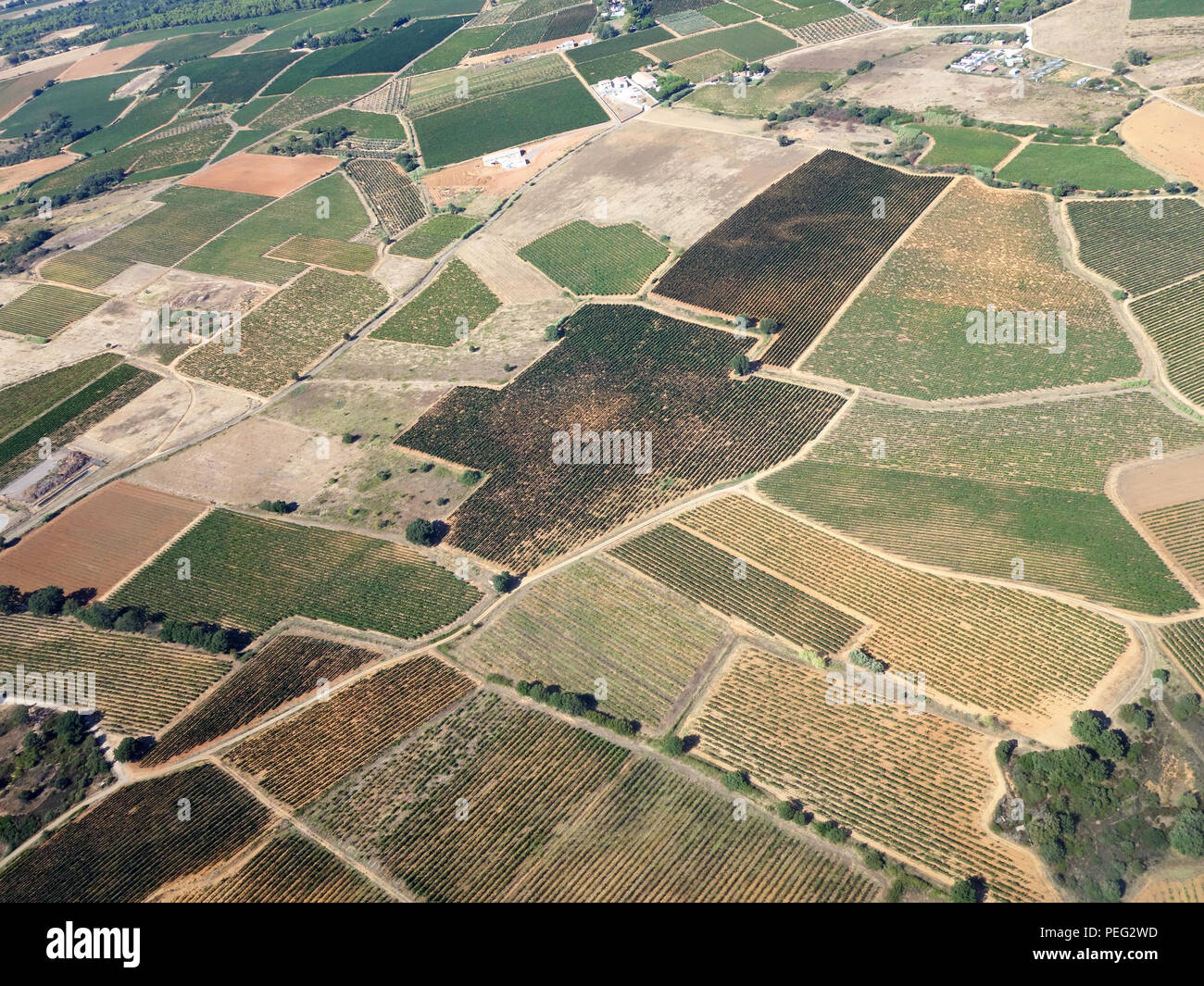 Aerial photograph of the vineyards around the Cers area France ...