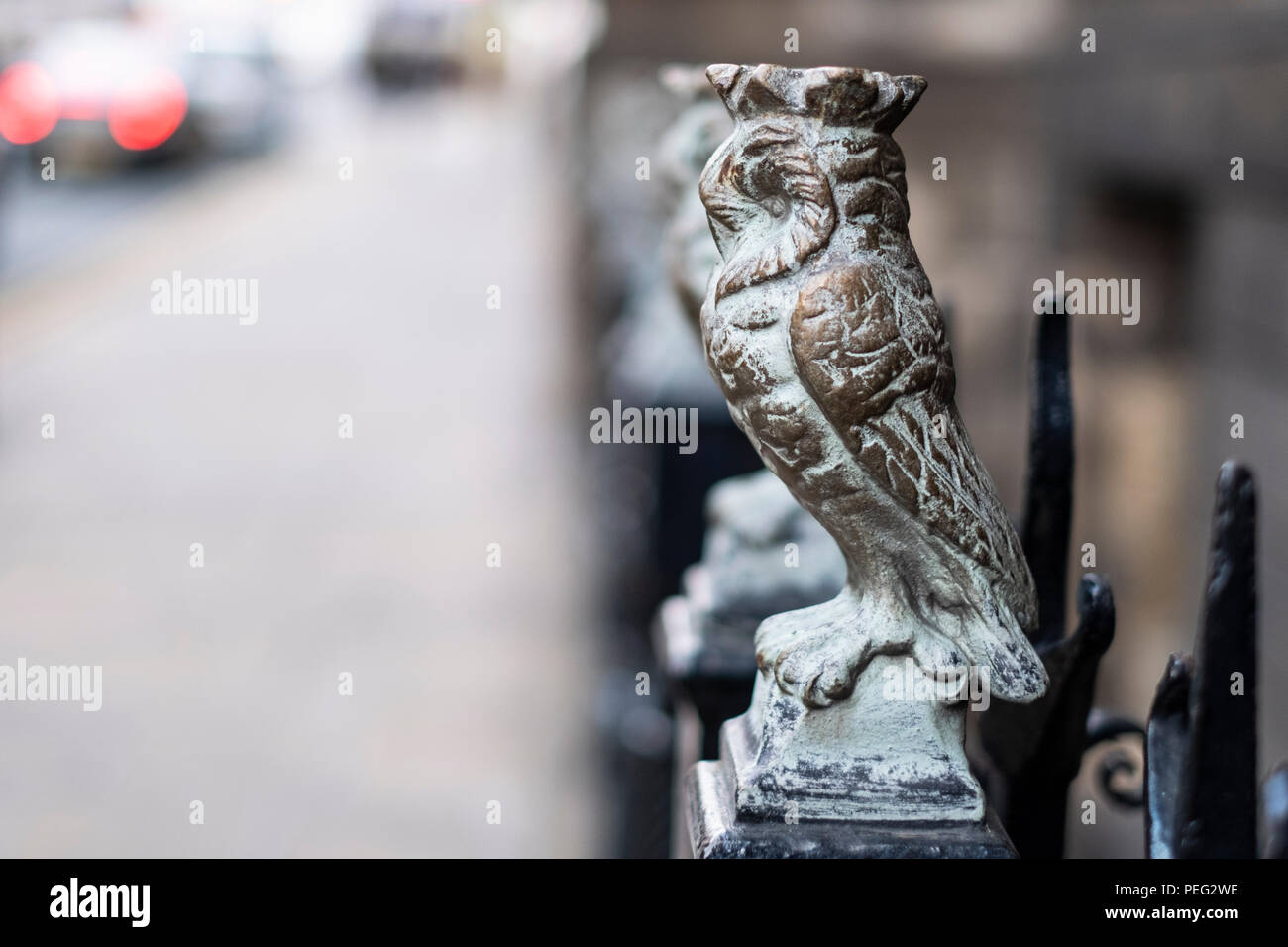 Golden owls of leeds hi-res stock photography and images - Alamy