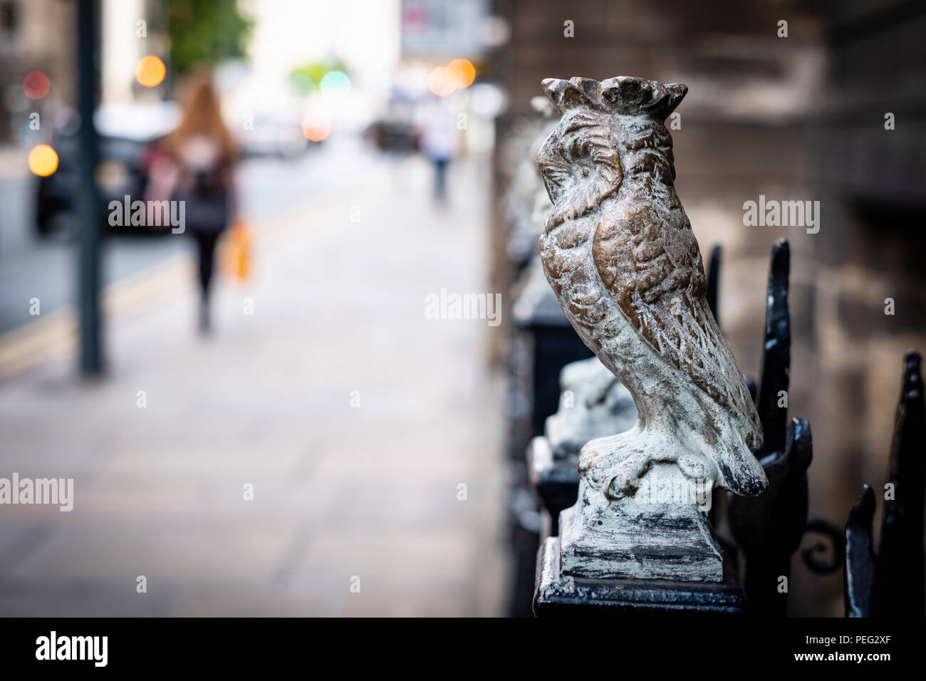 Golden owls of leeds hi-res stock photography and images - Alamy