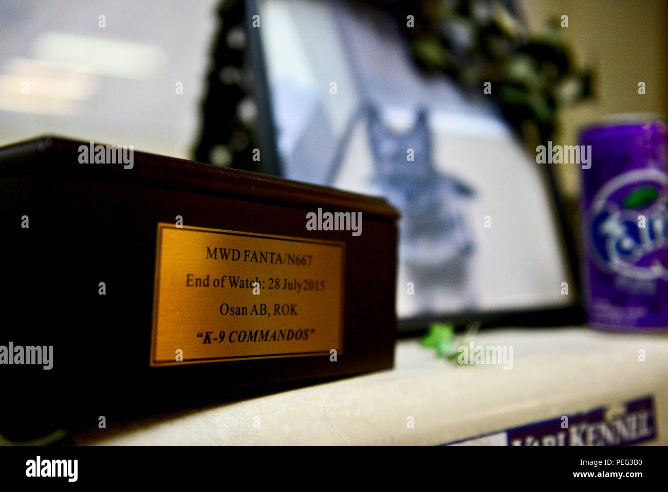 Military working dog Fanta was remembered during the memorial service ...