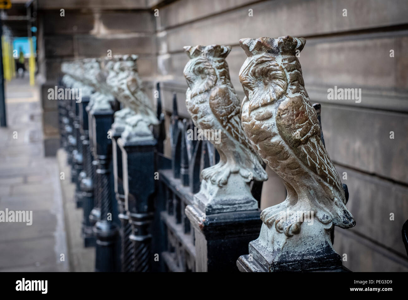 Owls on the railings of Leeds City Library Stock Photo - Alamy