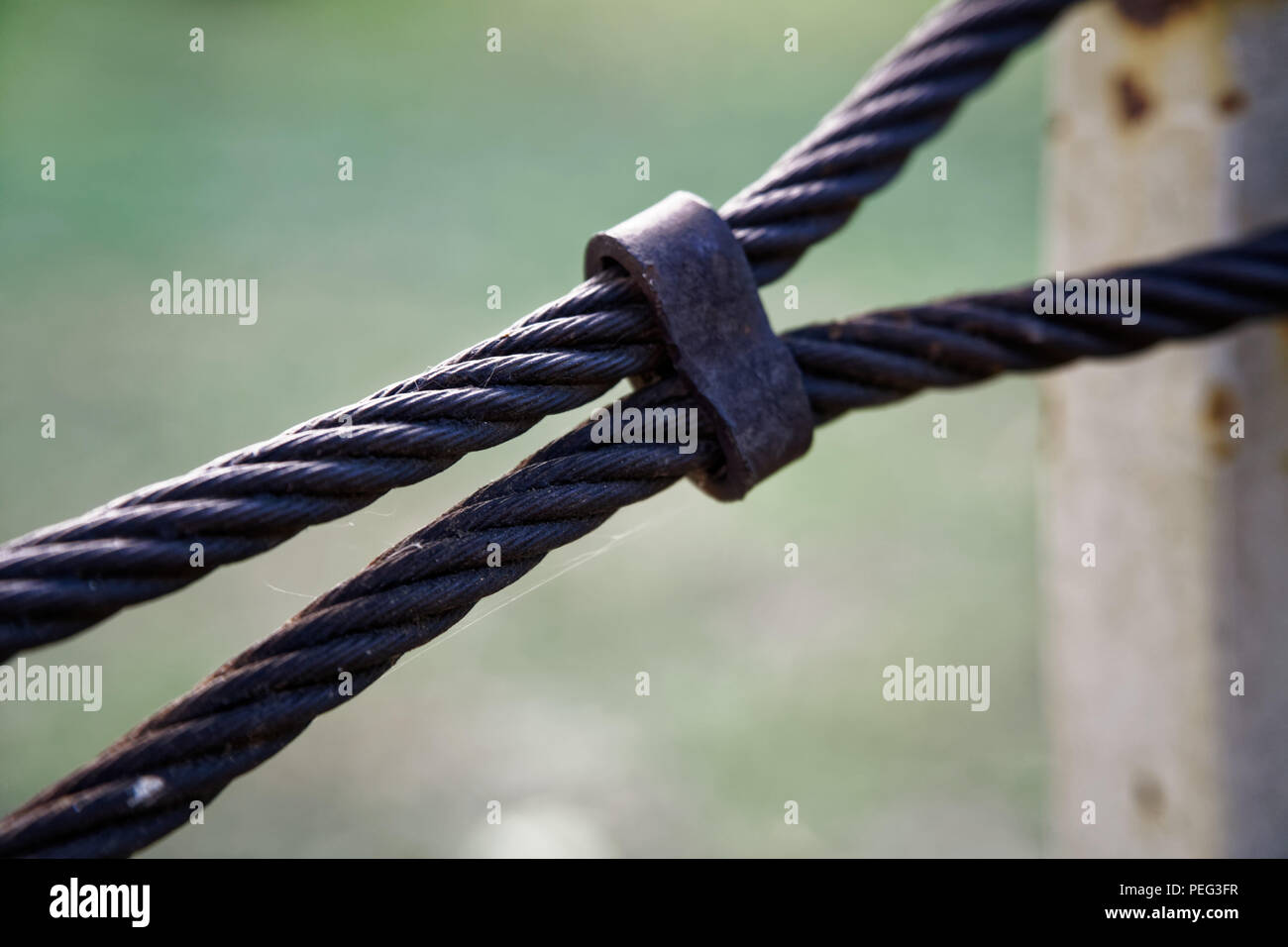 Thick steel rope close up. Bridge fence element. Detailed view. The ...