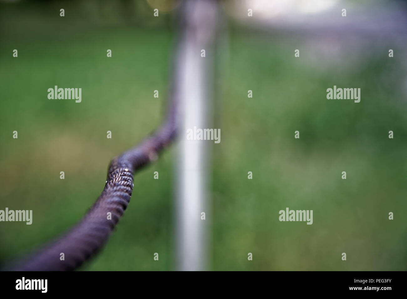 Thick steel rope close up. Bridge fence element. Detailed view. The ...