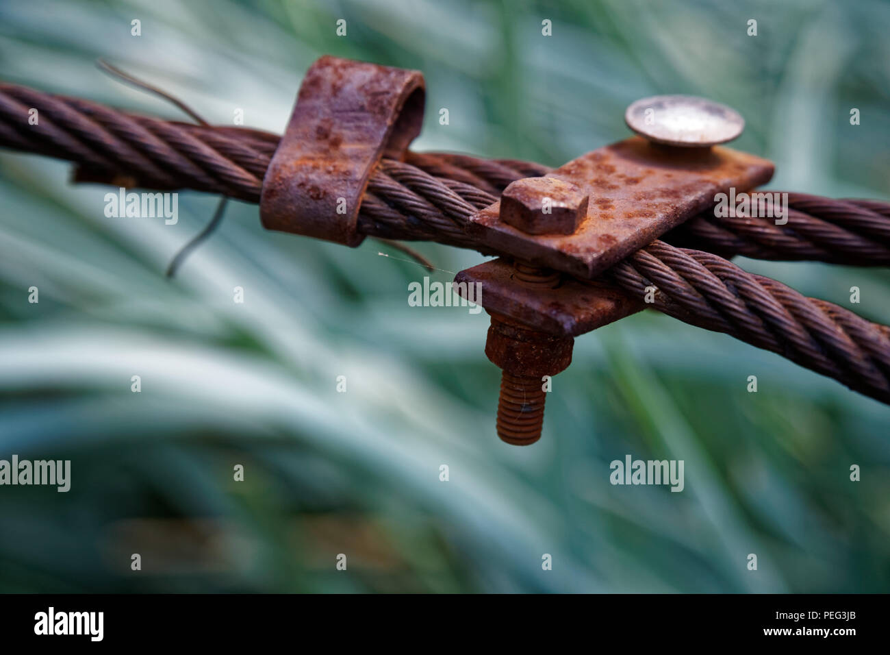 Thick steel rope close up. Bridge fence element. Detailed view. The ...