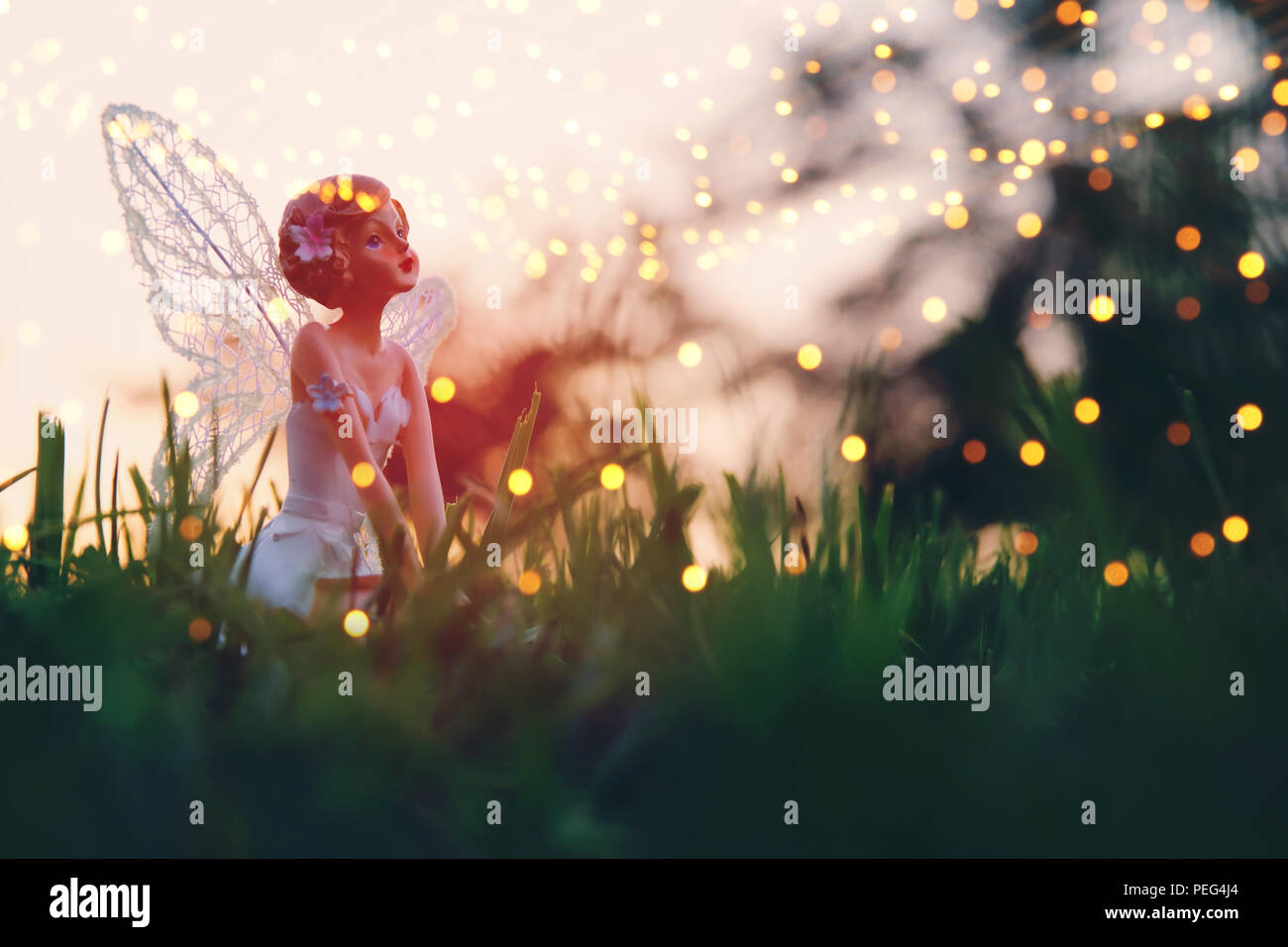 image of magical little fairy in the forest at sunset Stock Photo - Alamy