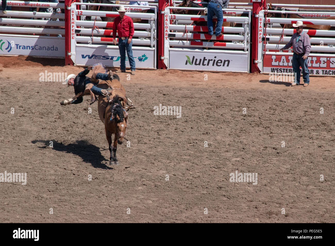 July 12, 2018; Saddle Bronc at the Calgary Stampede Rodeo, Stampede ...