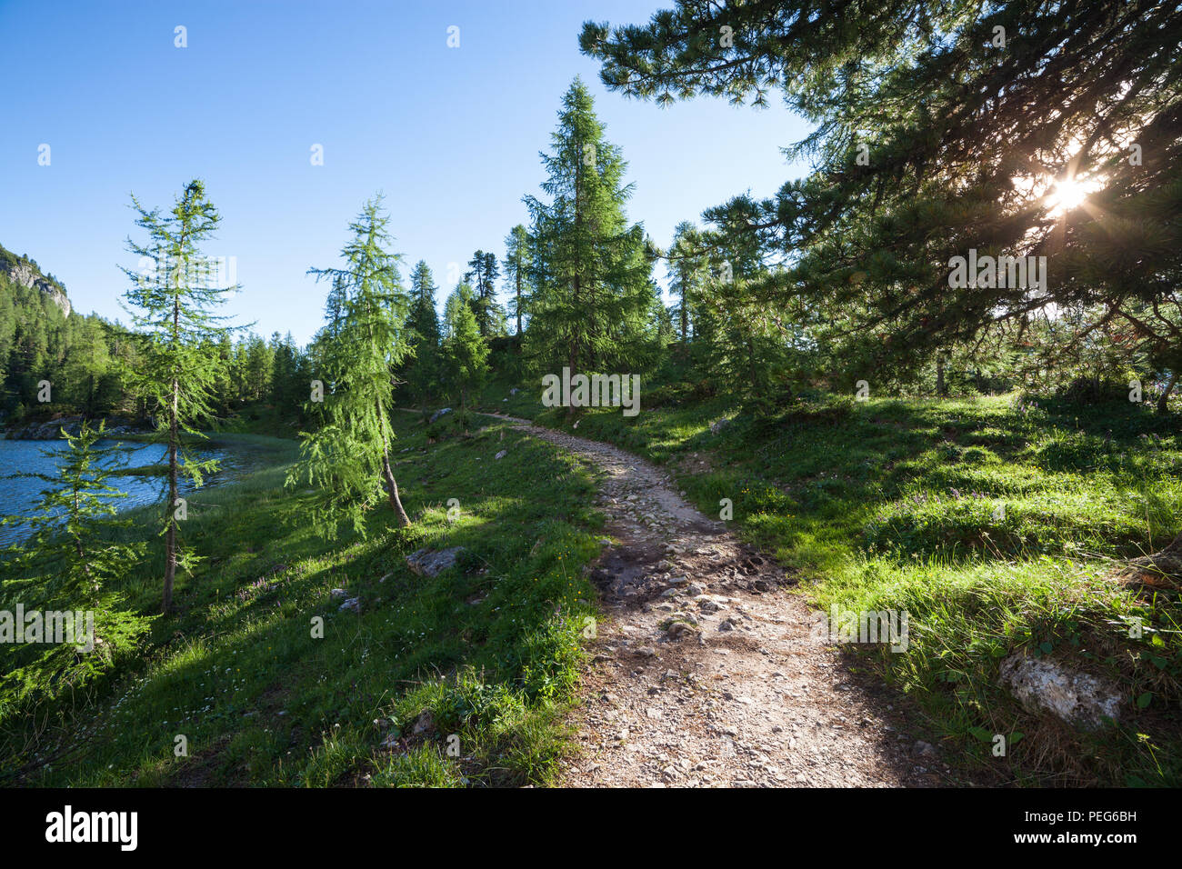 Alpine mountain summer forest lake at sunny day. Dolomites Alps, Italy ...