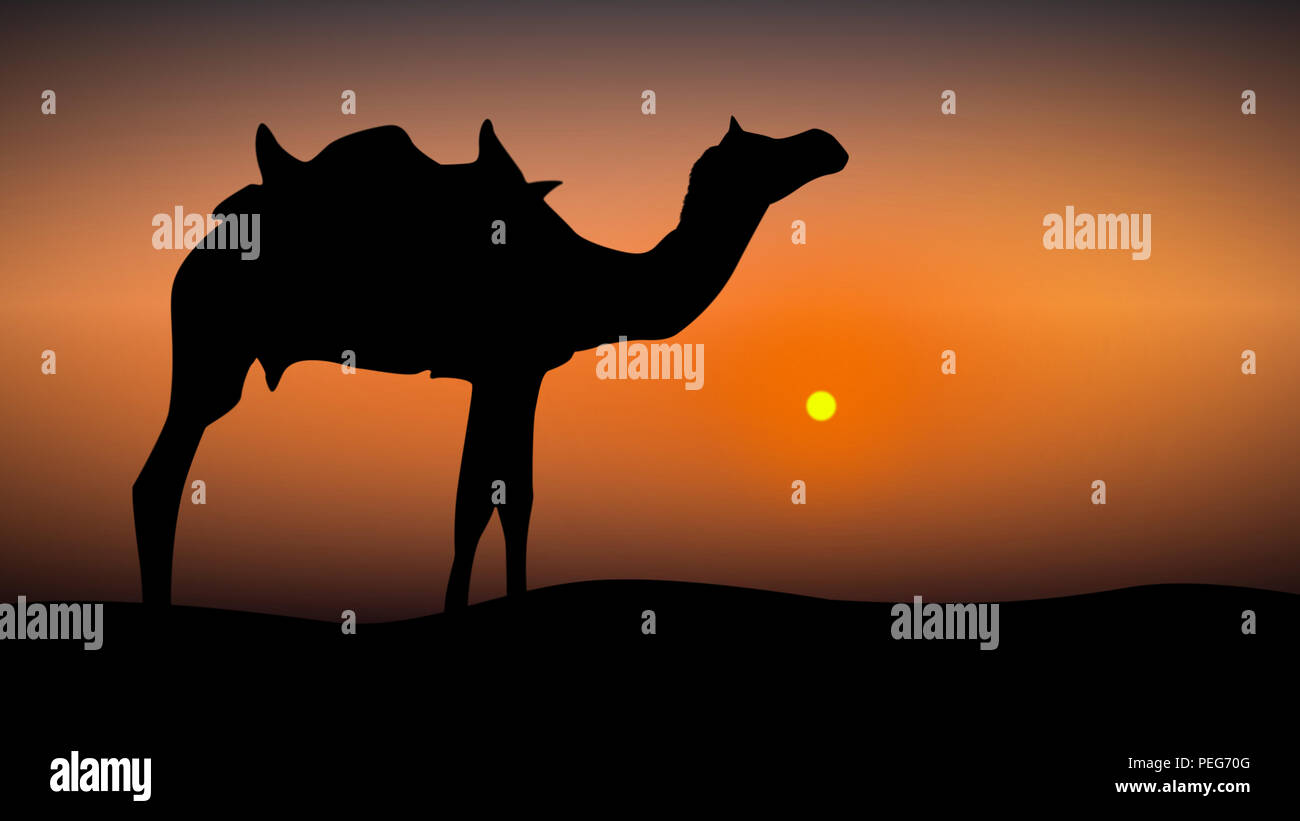 Camel color hi-res stock photography and images - Alamy