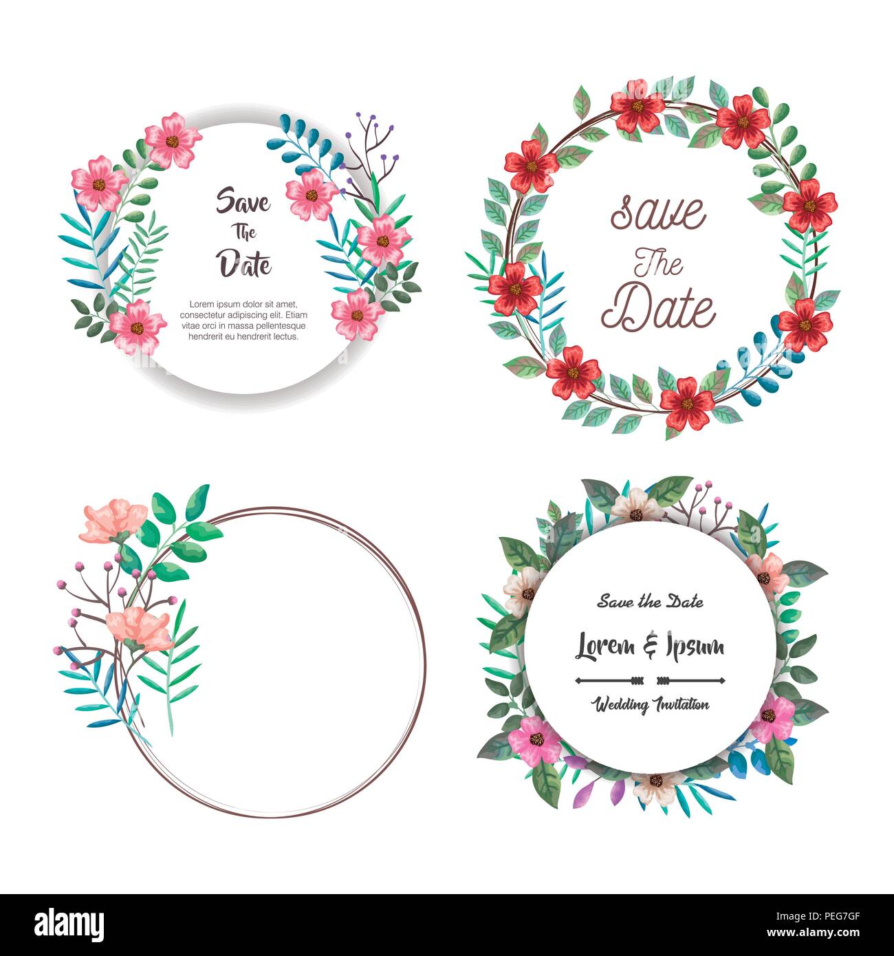 beautiful flowers and leafs frame vector illustration design Stock ...