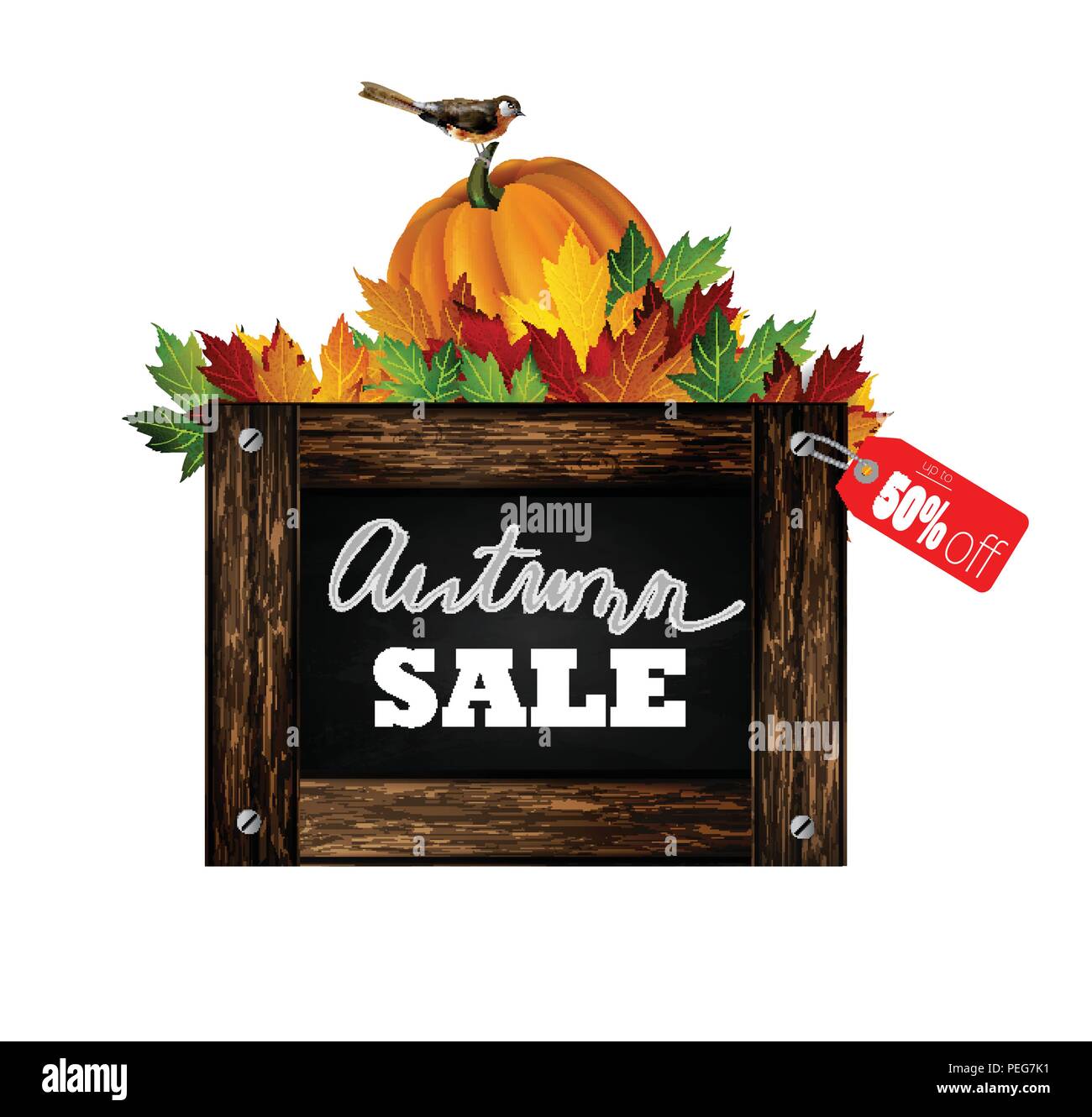 Autumn sale. Autumn leaves are drawn with chalk on a black chalkboard ...
