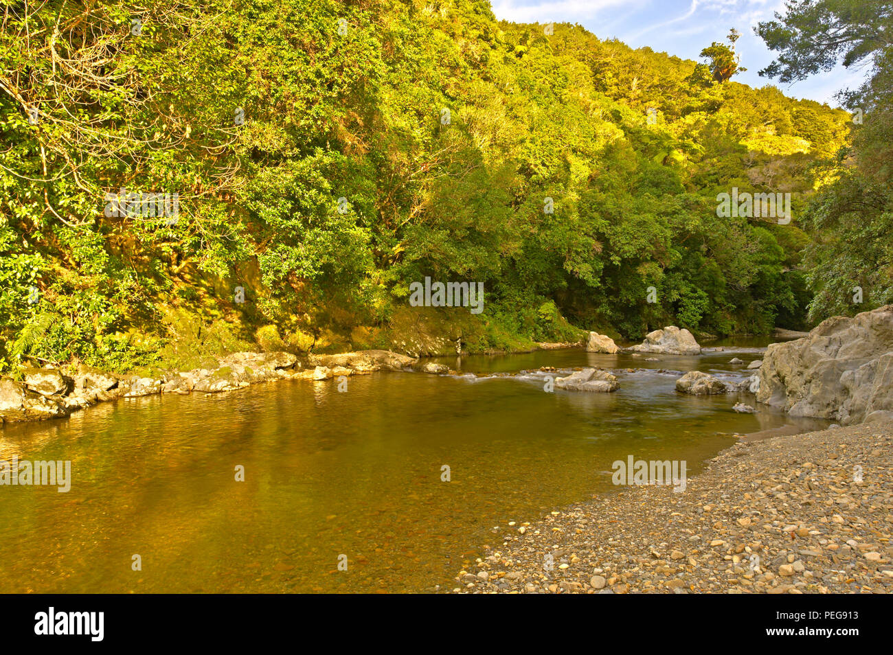 Rivendell, Kaitoke Regional Park, North Island, New Zealand Stock Photo ...